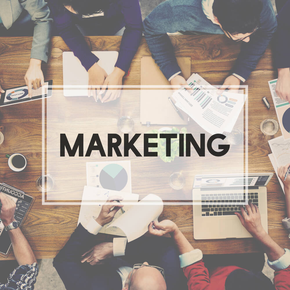 The Marketing Support You Need to Succeed Right Now